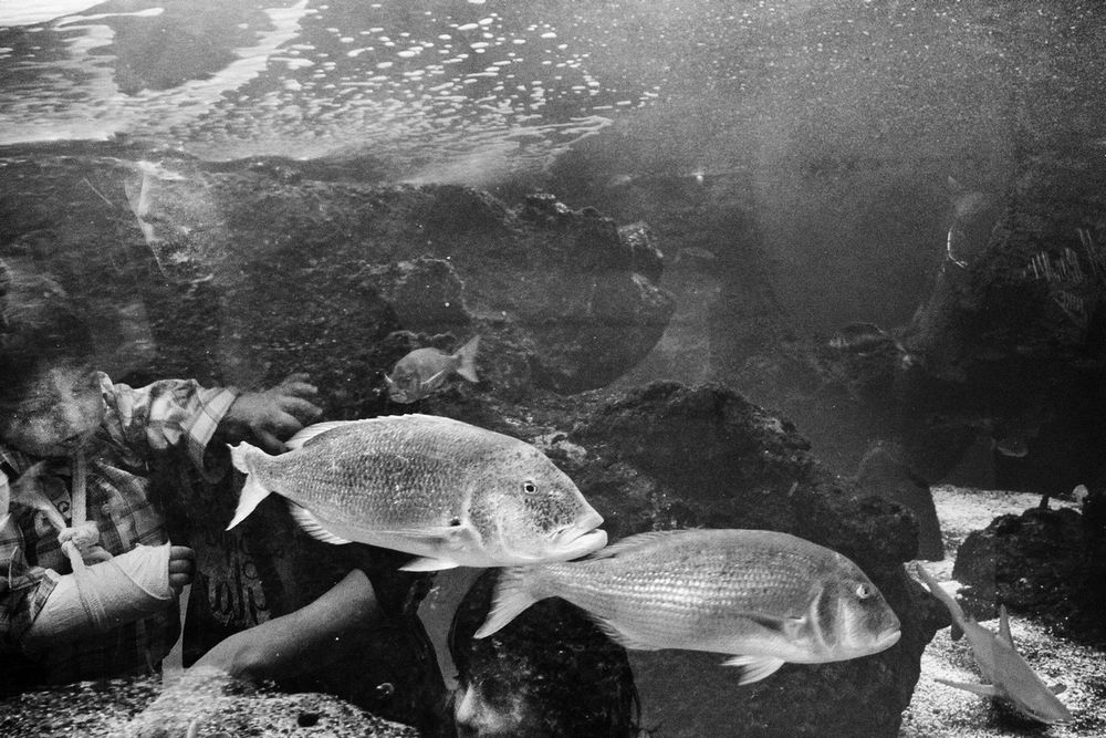 Spiros Zervoudakis – Trap – Silver Magazine